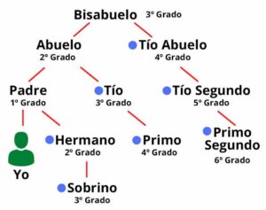 Grado de Parentesco explicado para Dummies | Milagro Magaz